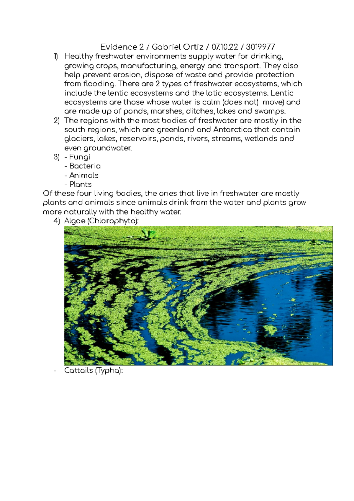 Evidence Number 2 - Evidence 2 / Gabriel Ortiz / 07.10 / 3019977 ...