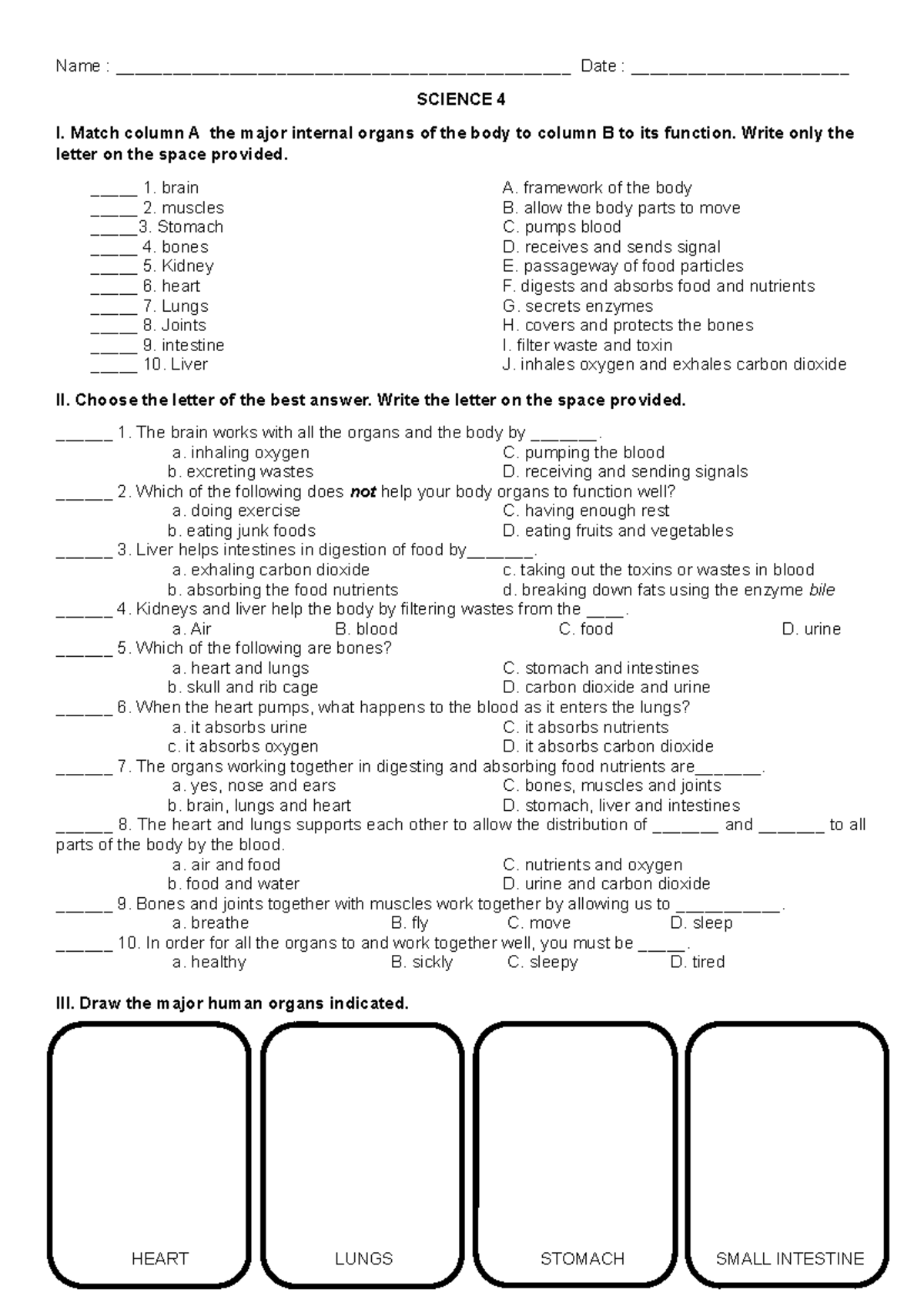 Major Organs - summative test - Name ...