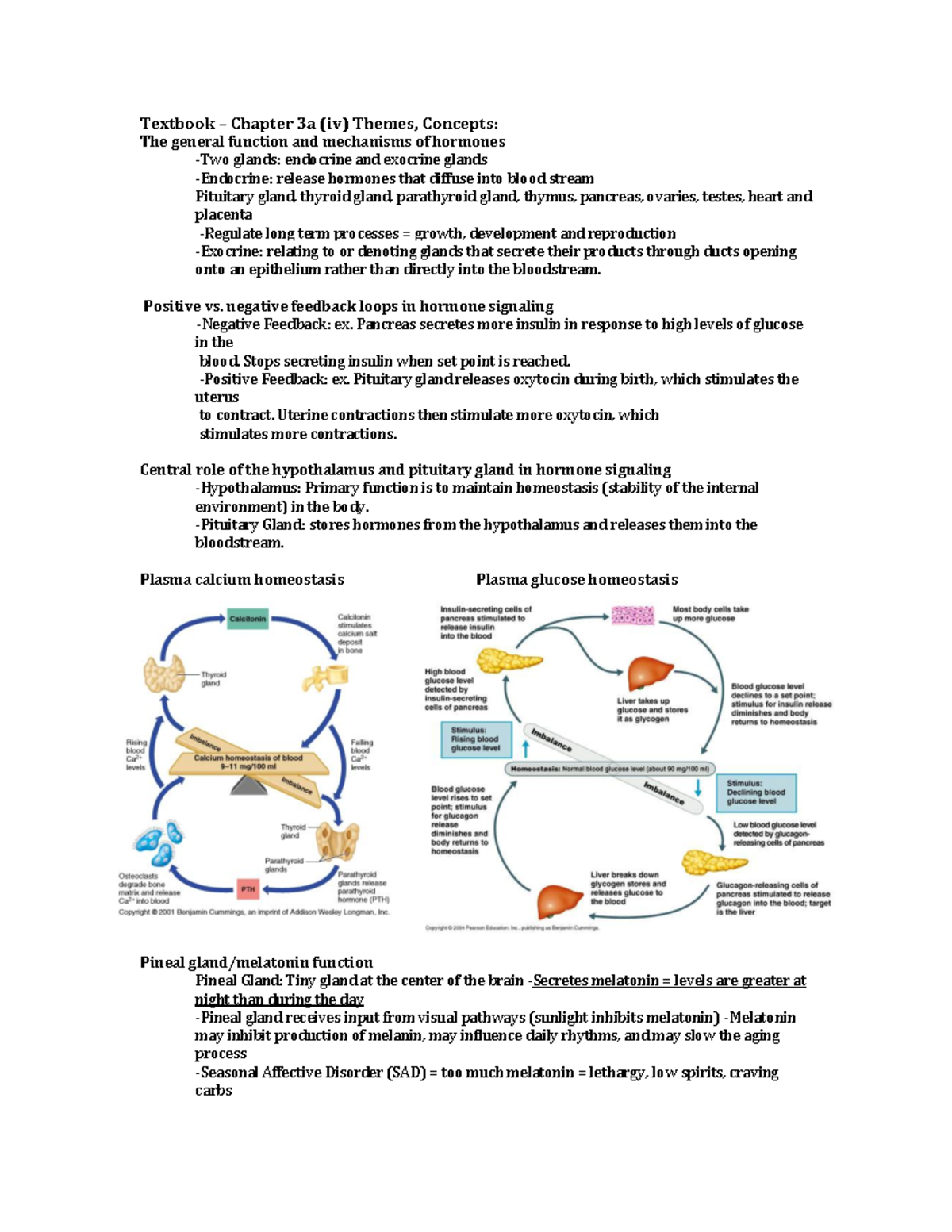 Additional Notes - OLD EXAM - Textbook – Chapter 3a (iv) Themes ...
