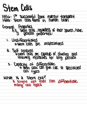 3 protein structure pogil - Protein Structure 1 Protein Structure What ...