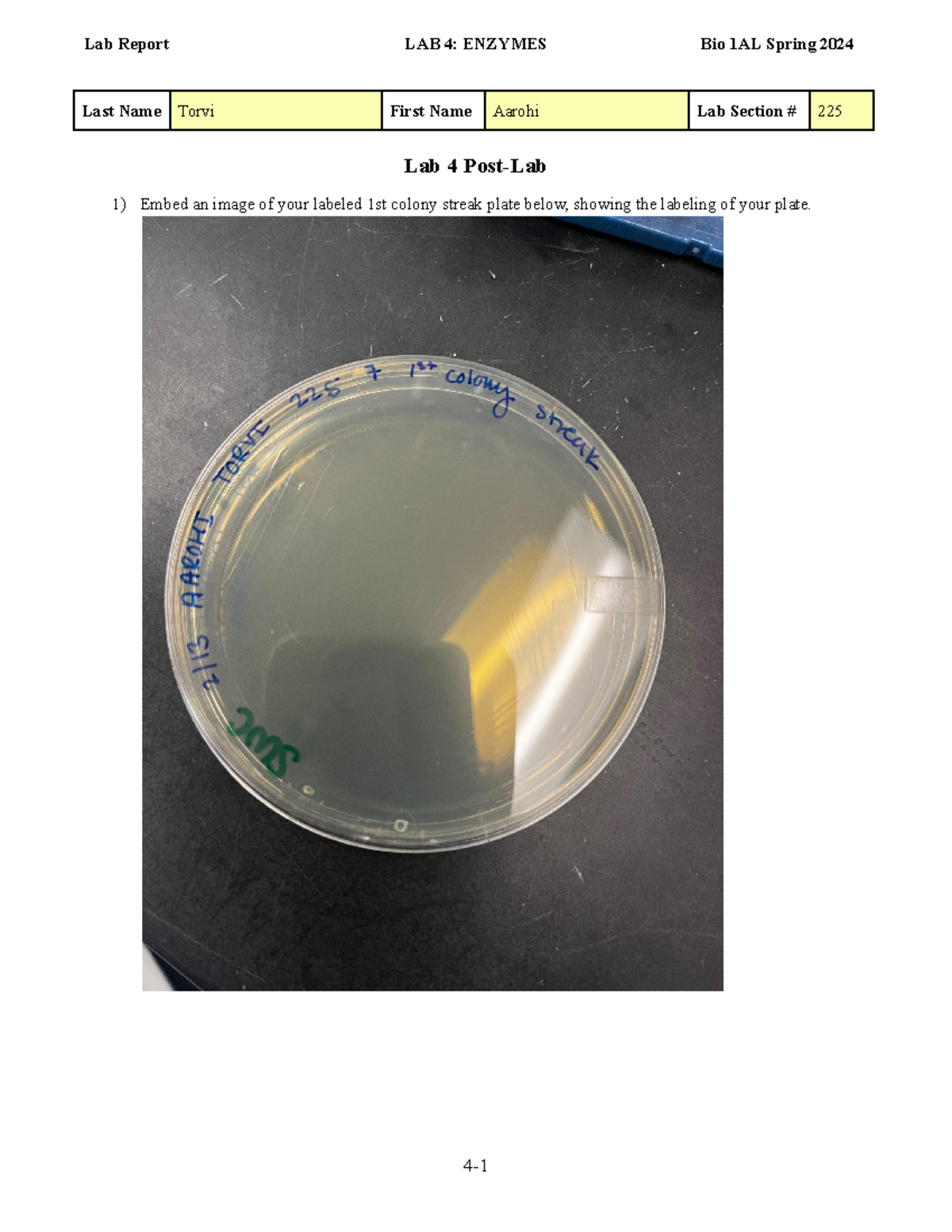 Lab 4 - Enzymes Report Sp24 - Last Name Torvi First Name Aarohi Lab Section # 225 Lab 4 Post-Lab ...