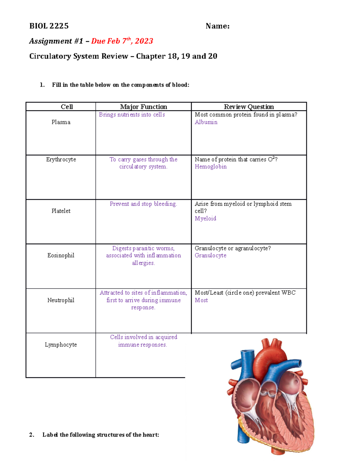 Assignment #1 - The Circulatory System - BIOL 2225 Name: Assignment #1 ...