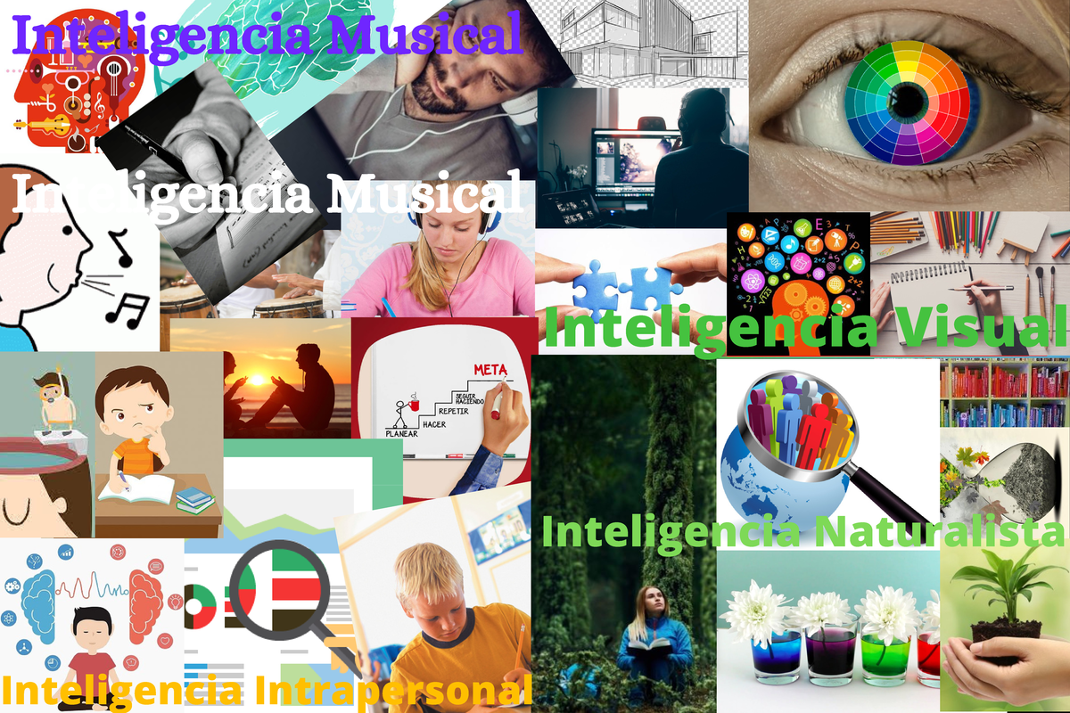 Inteligencia Musical - Anatomía - Inteligencia Musical Inteligencia ...