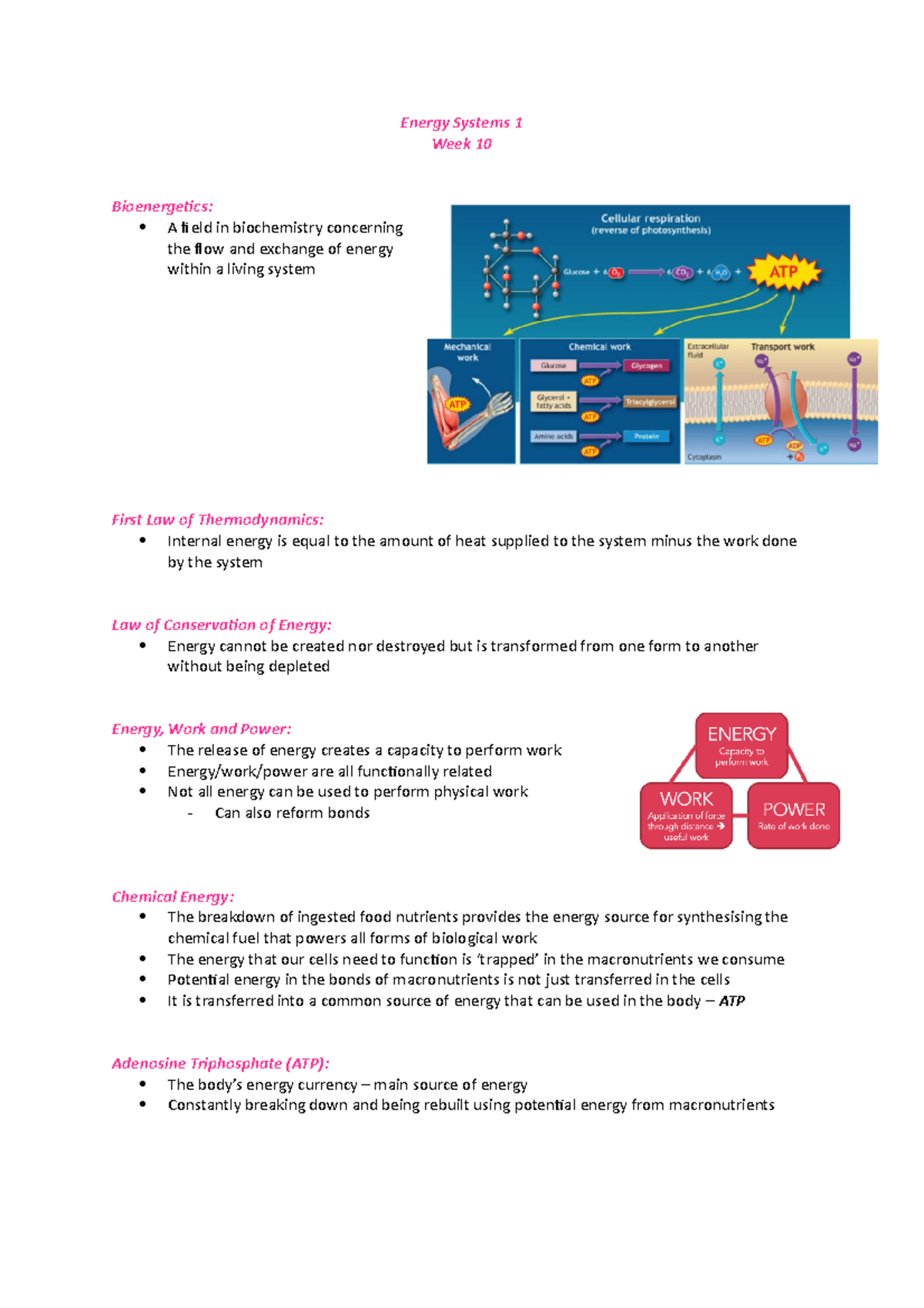 Energy Systems 1 WK10 - Energy Systems 1 Week 10 Bioenergetics: A field ...