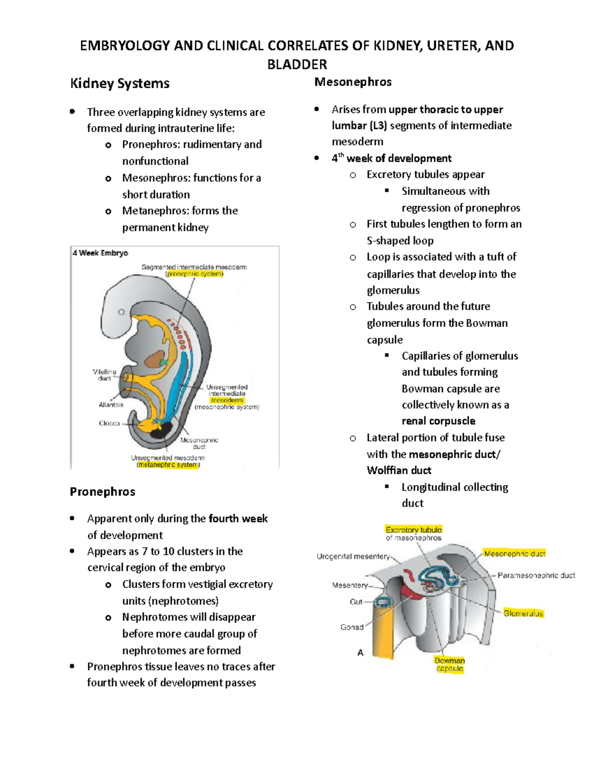 GA 01-05-2021 Embryology AND Clinical Correlates OF Kidney, Ureter, AND ...