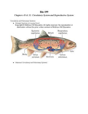 Lab 4 - Bio 199L with Alex Landy - Lab 4 : Protists Supergroup ...