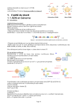 Chapitre 2 : La cellule - LA CELLULE, UNITÉ FONCTIONELLE DE BASE DU ...