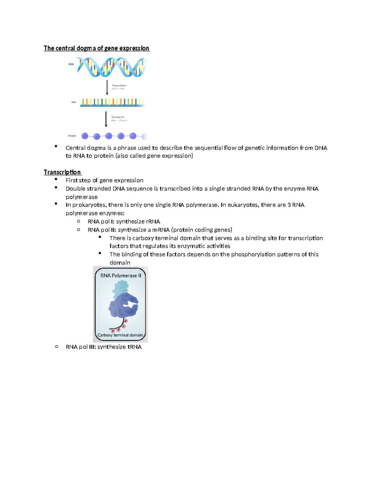 Transcription note - The central dogma of gene expression Central dogma ...