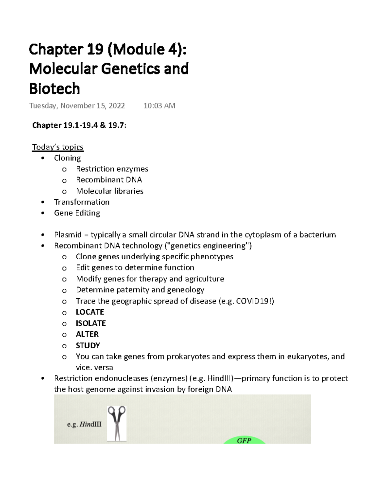 Module 4 Chapter 19 Molecular Genetics and Biotech (lecture) - Chapter ...