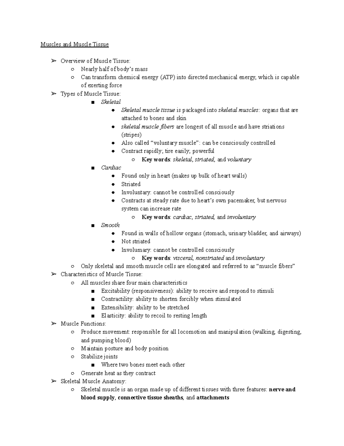 BLG101 Lect 6 Notes - Muscles and Muscle Tissue Overview of Muscle ...