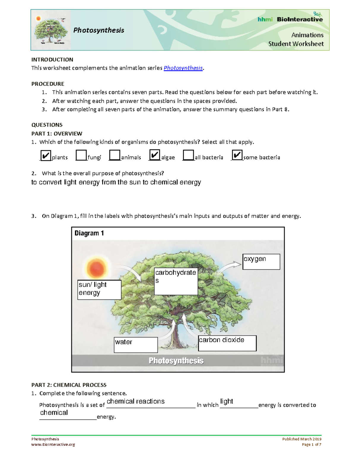 Photosynthesis-Student WS-animation 12 - Photosynthesis Published March ...