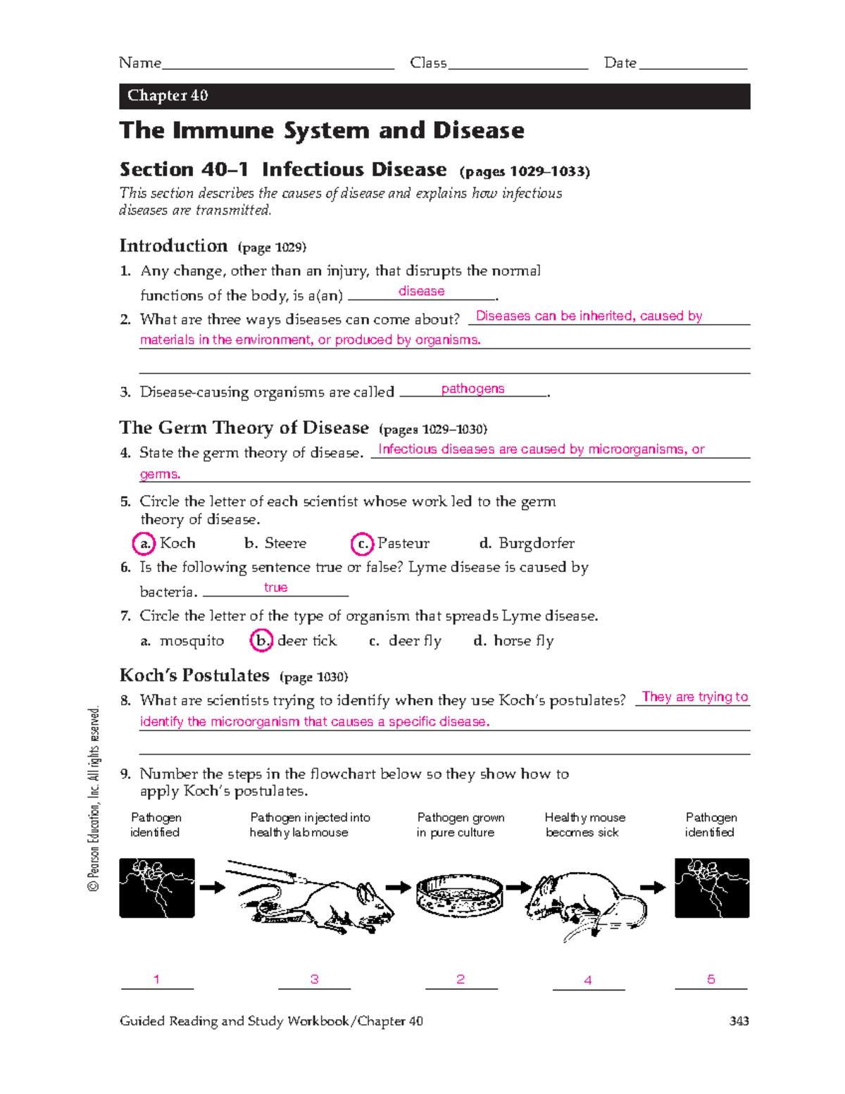 Immune system and fighting disease answer key - 1 Pathogen injected ...