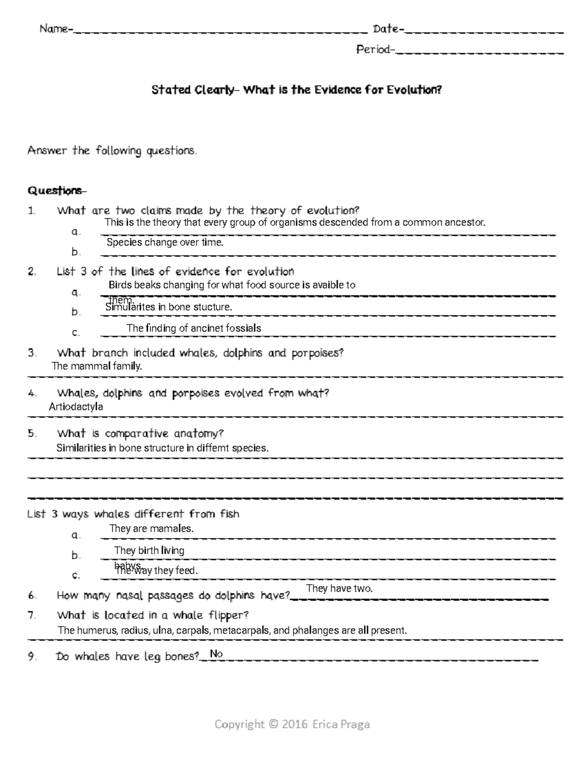 Aidan Mc Laughlin - Evolution worksheet - Name- Date- Period- Stated ...