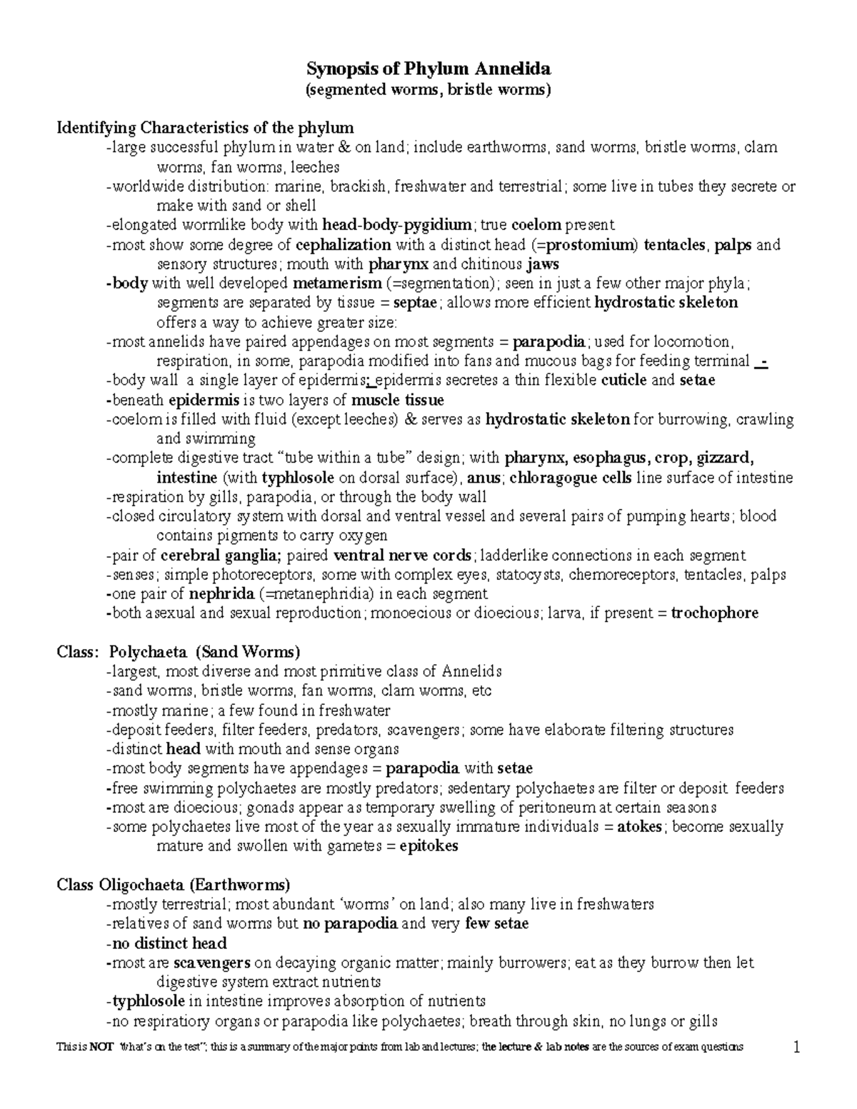 Annelida Synopsis - This is NOT “what’s on the test”; this is a summary ...