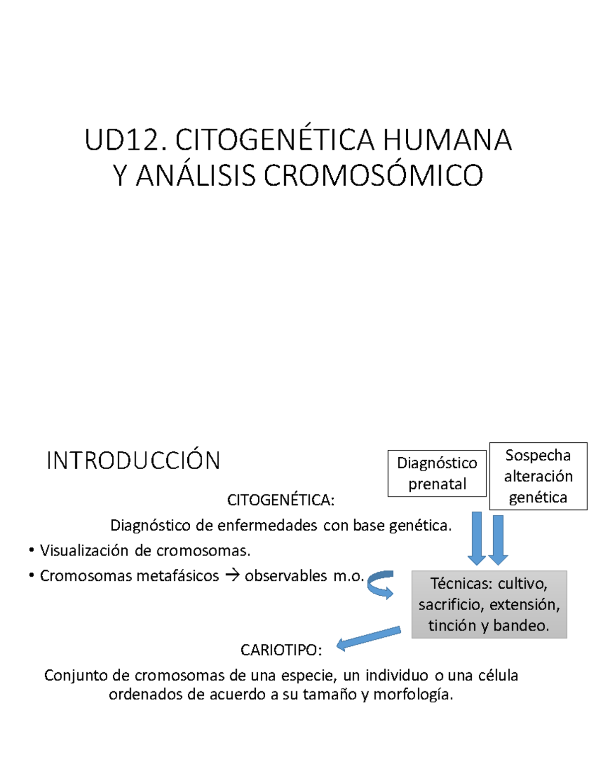 UD12. Citogenética Humana Y Análisis Cromosómico - UD12. CITOGENÉTICA HUMANA Y ANÁLISIS ...
