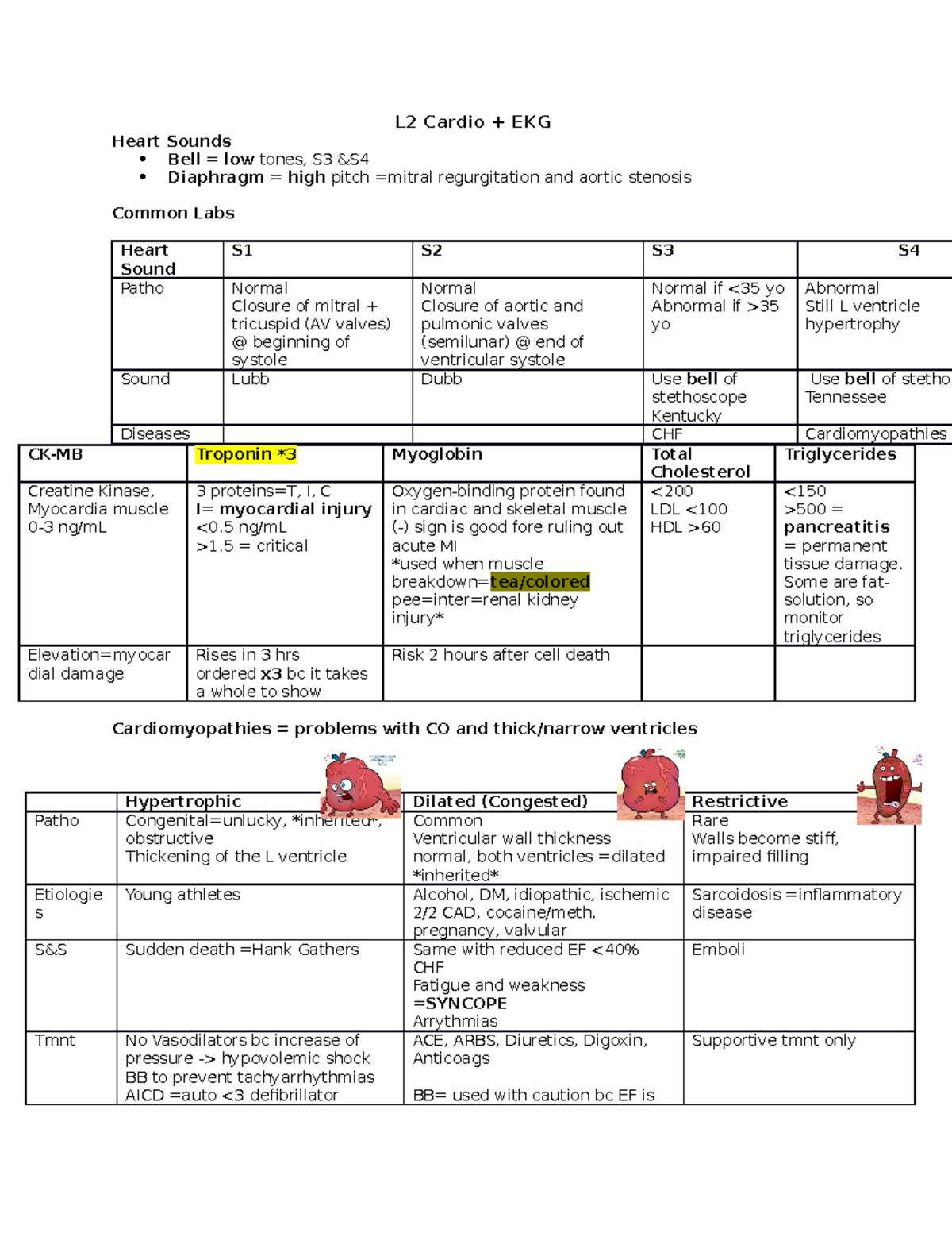 L2 Cardio and EKG medical surgery - L2 Cardio + EKG Heart Sounds Bell ...