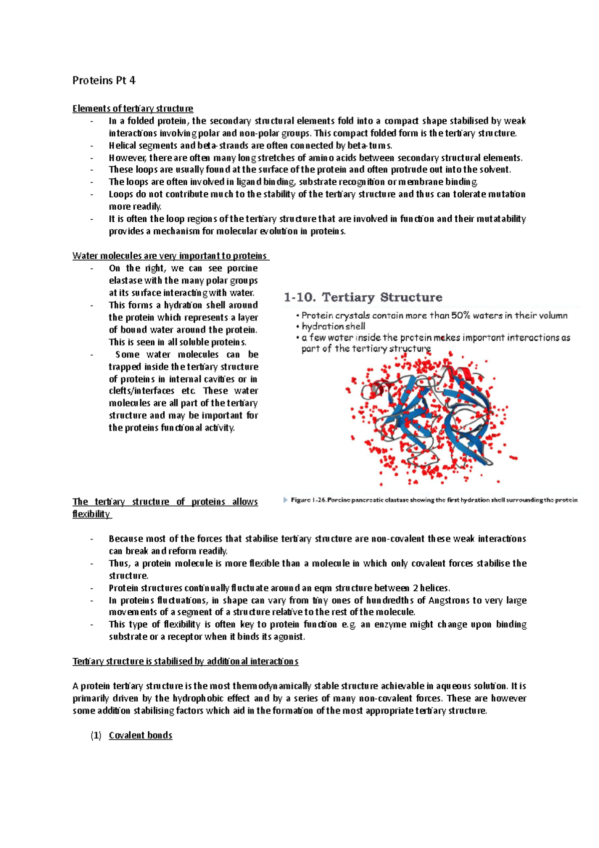 Proteins Part 4 - Lecture notes and additional research notes ...