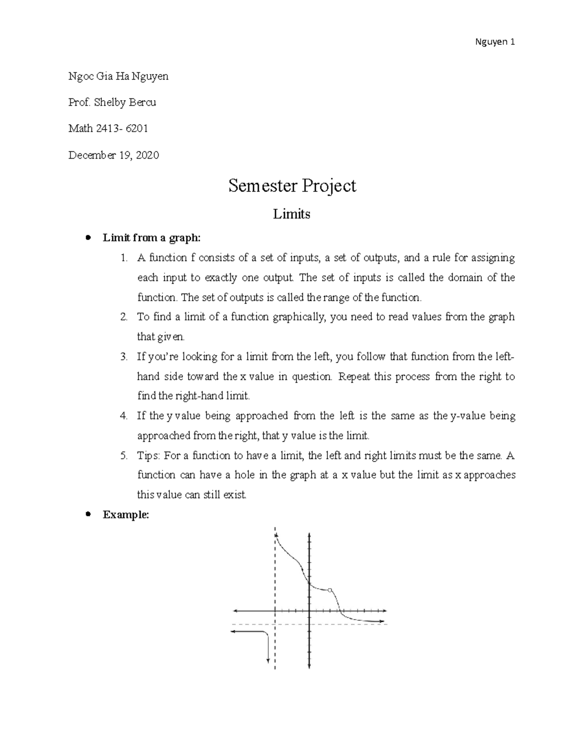 Semester Project- Ngoc Gia Ha Nguyen - Copy - Ngoc Gia Ha Nguyen Prof ...