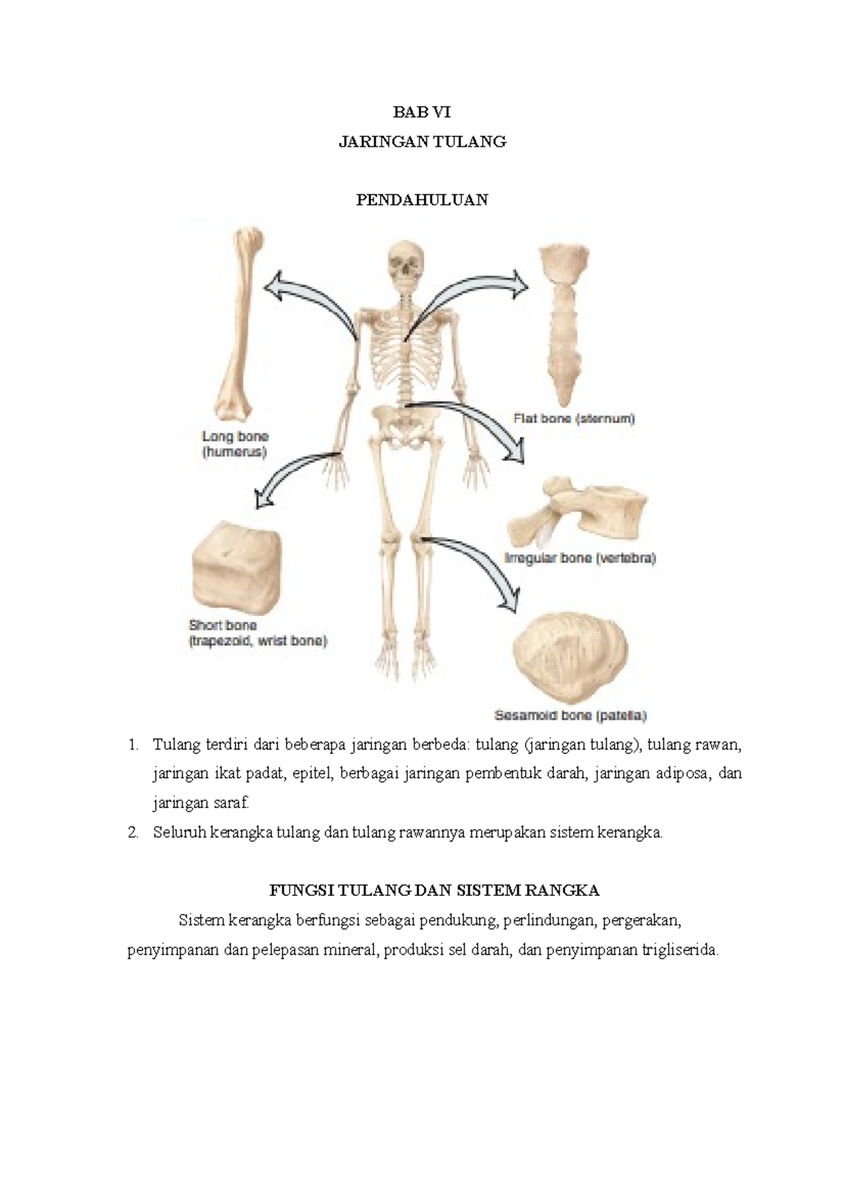 BAB VI - BONE TISSUE - BAB VI JARINGAN TULANG PENDAHULUAN Tulang ...