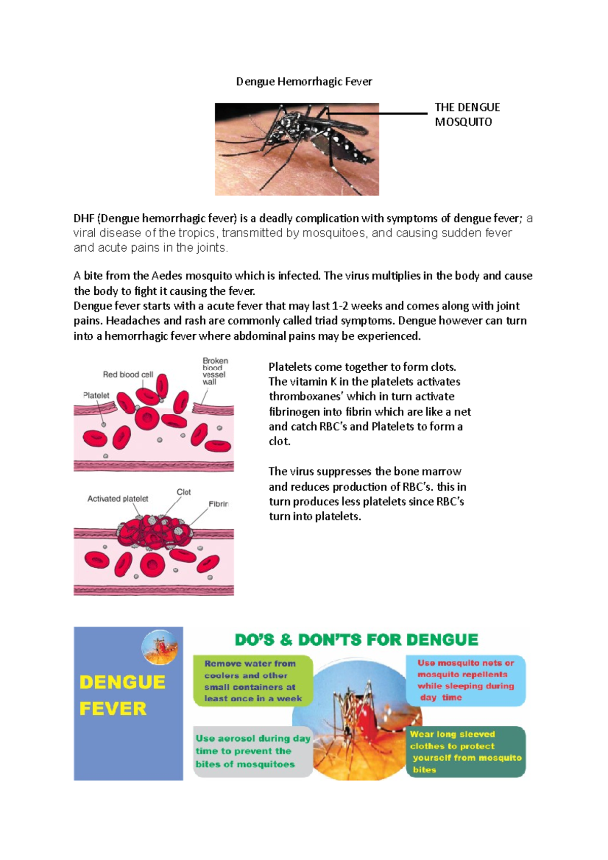 Dengue Patient handout/ brochure - Nursing - Studocu
