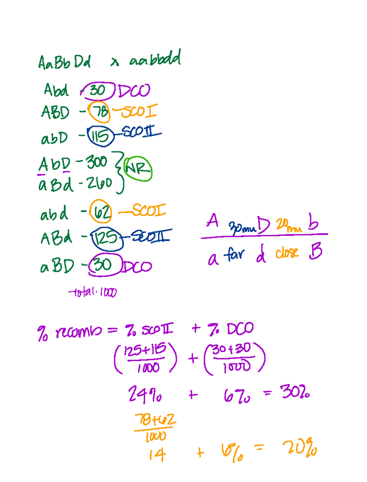 GTS 161 Tutorial 6 - GTS 161 - AaBbDd x aabbdd Abd DCO ABD SCOI abd ...