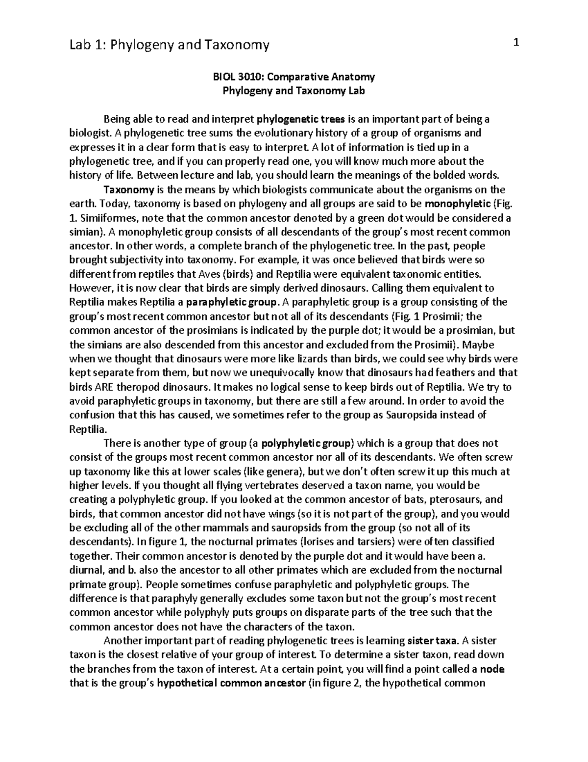 Lab 1 Phylogeny and Taxonomy - BIOL 3010: Comparative Anatomy Phylogeny ...