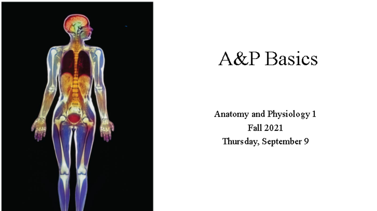 A+P 1 Slides 2 - Dr. Sarah Peacock - A&P Basics Anatomy and Physiology ...