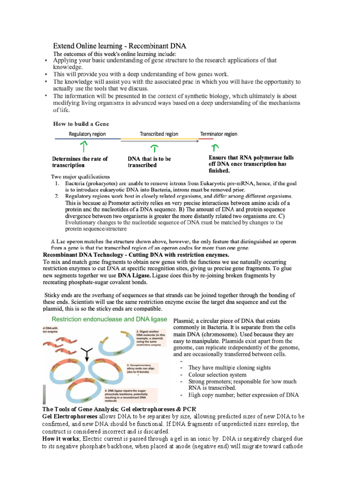 Biol1020 notes - The Tools of Gene Analysis; Gel electrophoreses & PCR ...