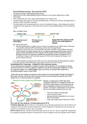 Chem Pre Lab Flow Charts 3 - Experiment 3 - Origins g charge on the ...