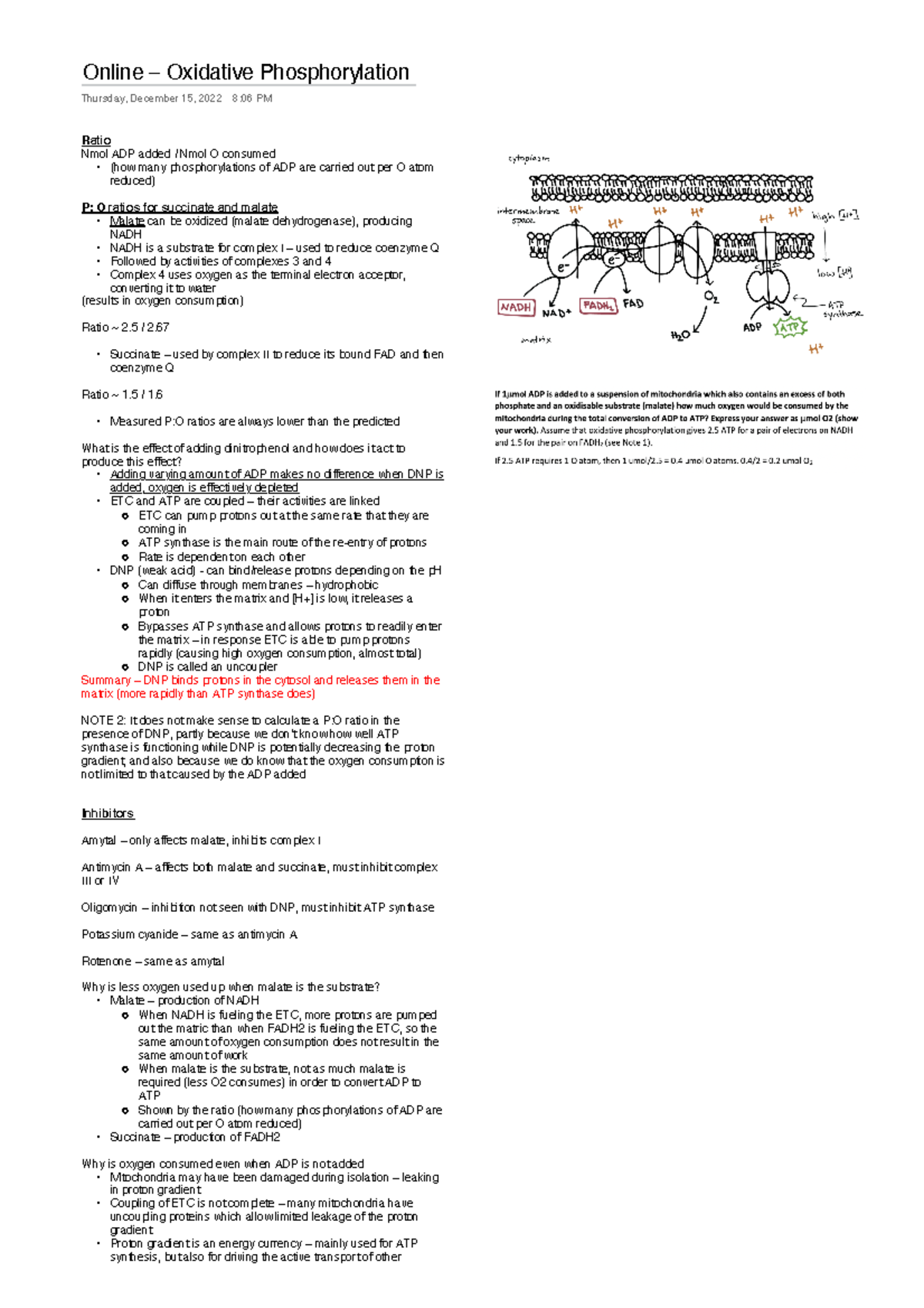 Oxidative Phosphorylation Practical - Online – Oxidative ...