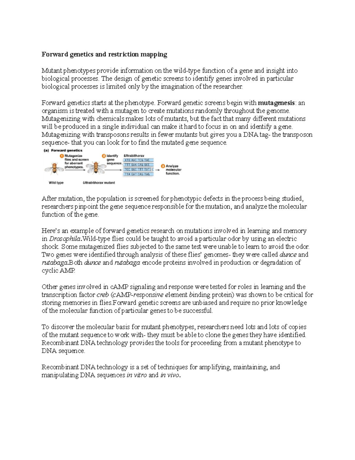 Forward genetics and restriction mapping - The design of genetic ...
