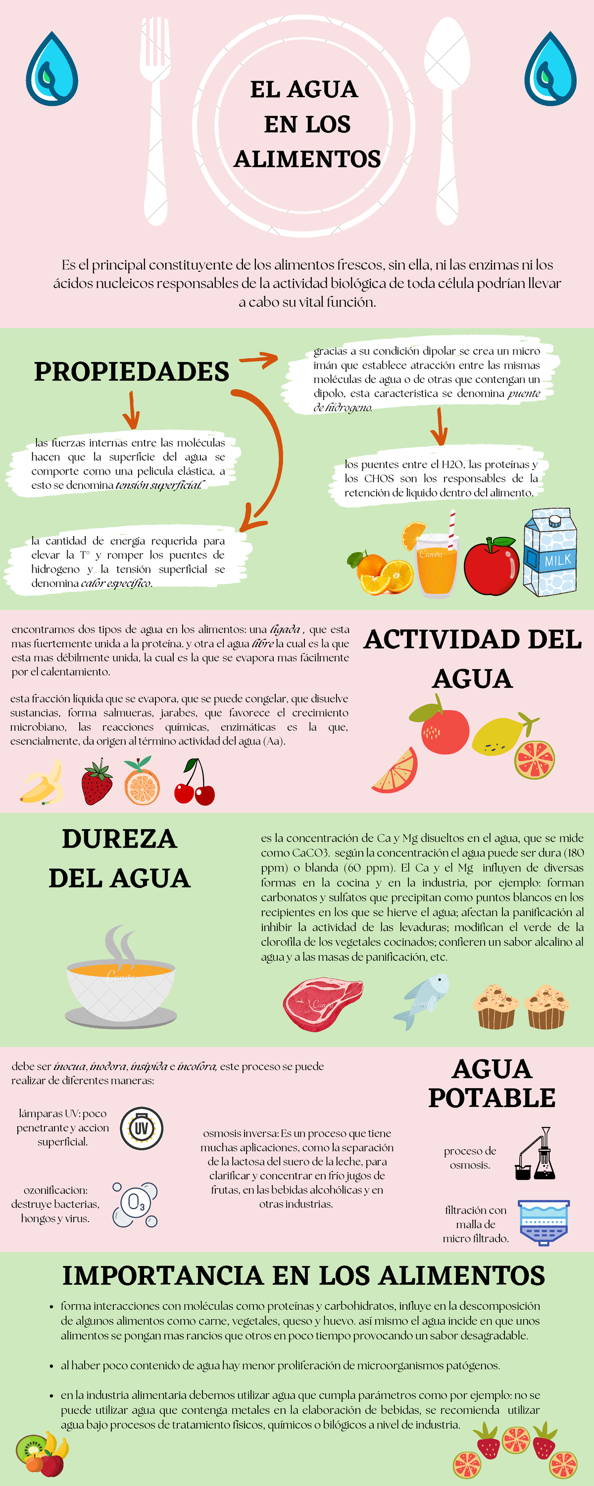 El agua en los alimentos - PROPIEDADES gracias a su condición dipolar ...