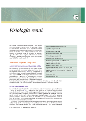 Lección 21. PL Eritrocitos. Leucocitos. Incompleta ADI - Fisiología ...