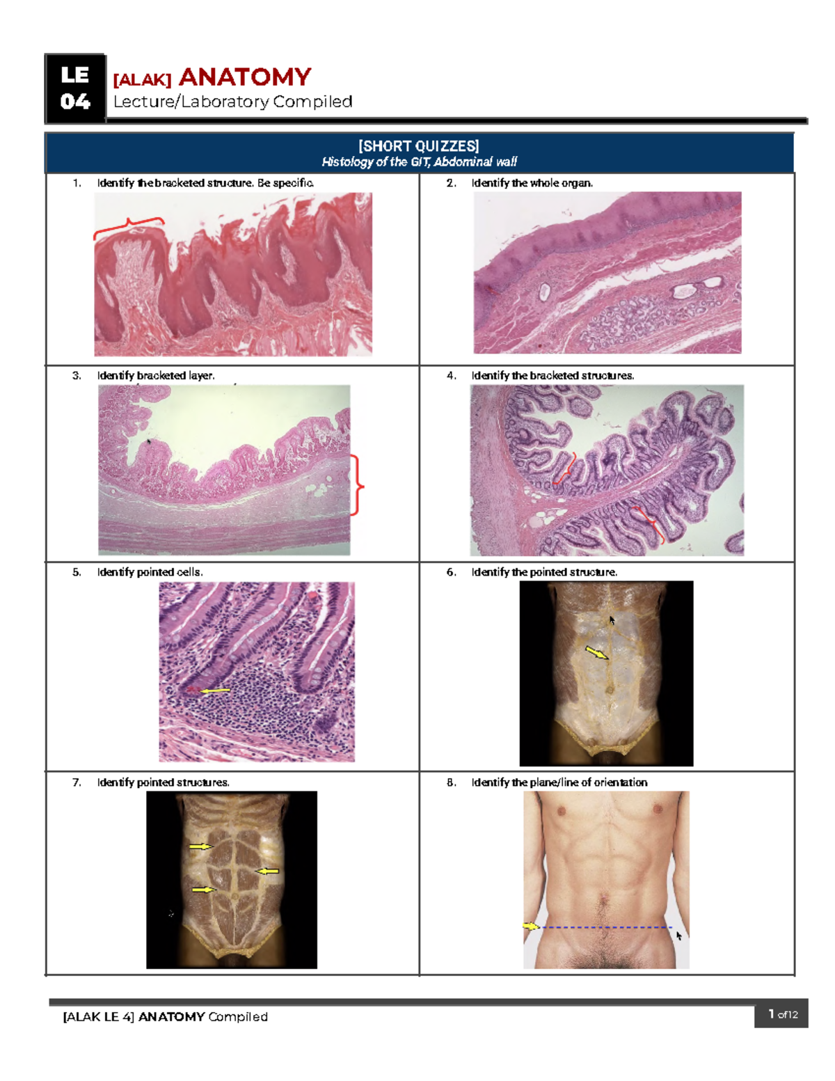 [ALAK LE4] Anatomy Compiled compressed - 04 [ALAK] ANATOMY Lecture ...