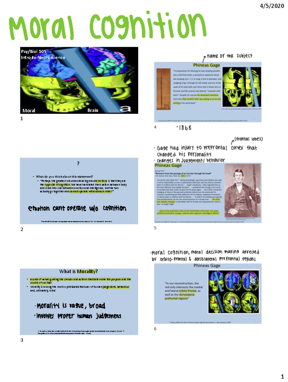 Morality - Lecture notes 13 - Psy /Biol 105 Intro to Neuroscience 1 ...