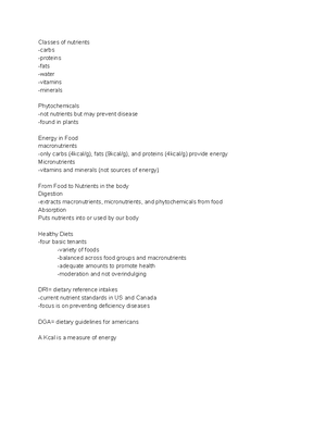 Lesson 6 Obesity Concept Map - Obesity Concept Map Creating a concept ...