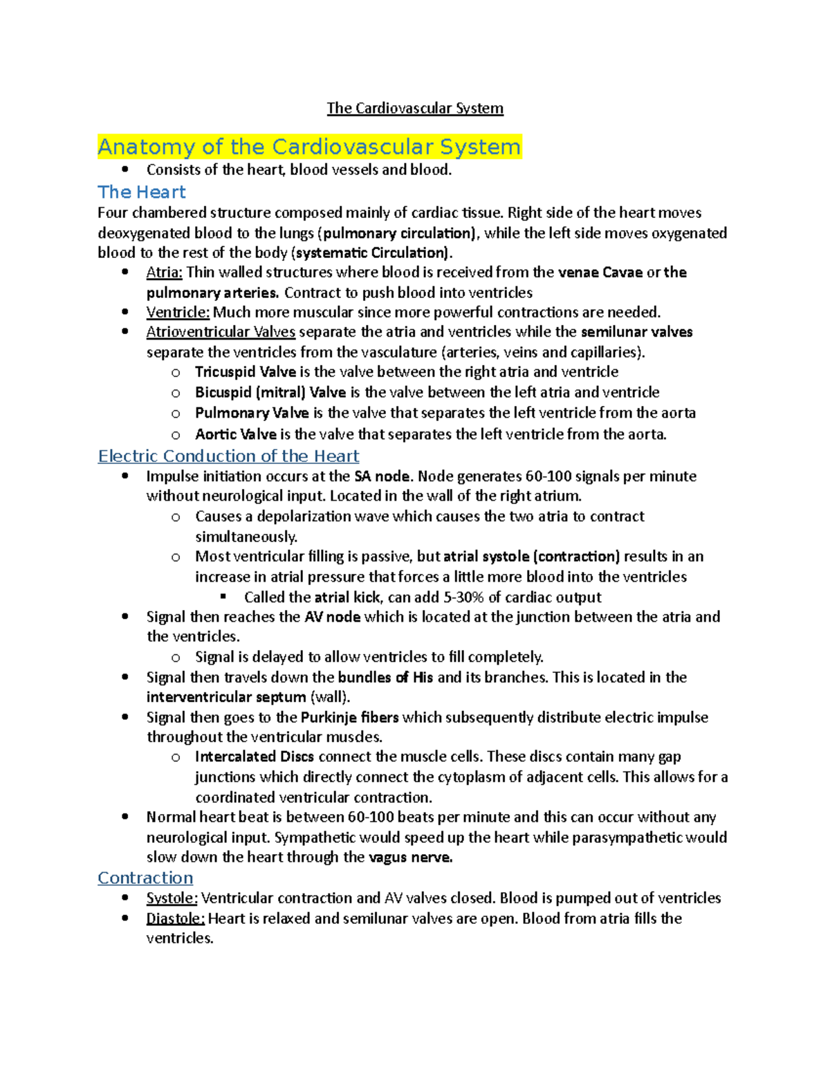 The Cardiovascular System - The Cardiovascular System Anatomy of the ...