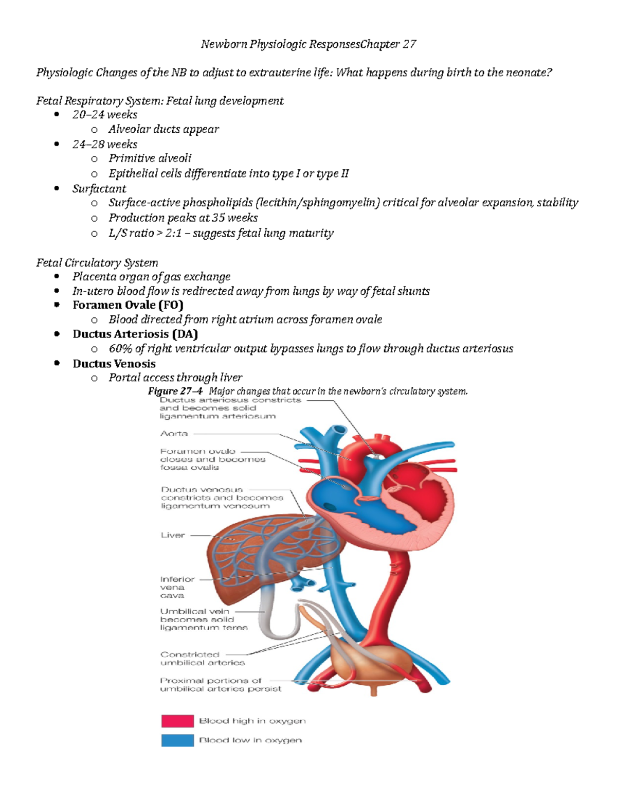 CH 27 Newborn Physiologic Responses - Newborn Physiologic ...