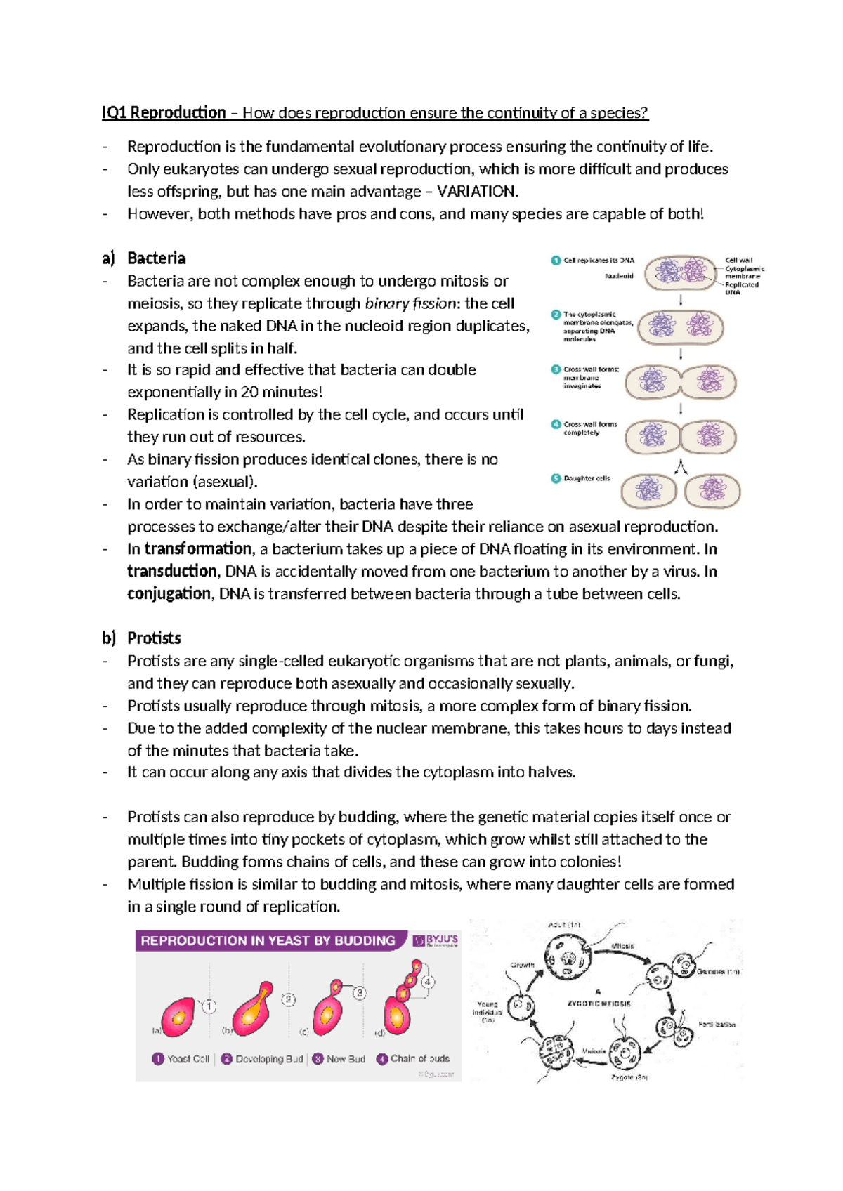2020 Bio Module 5 Heredity Summary Notes Iq1 Reproduction How Does Reproduction Ensure The