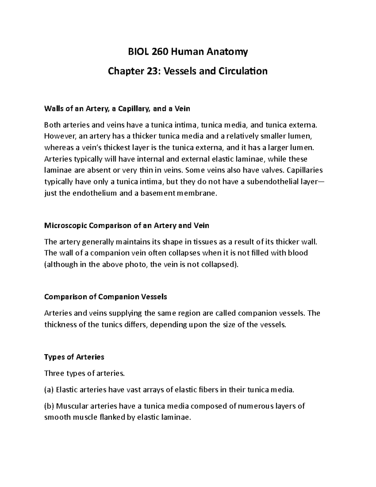 Anatomy Chapter 23 (Lecture Notes) - BIOL 260 Human Anatomy Chapter 23 ...