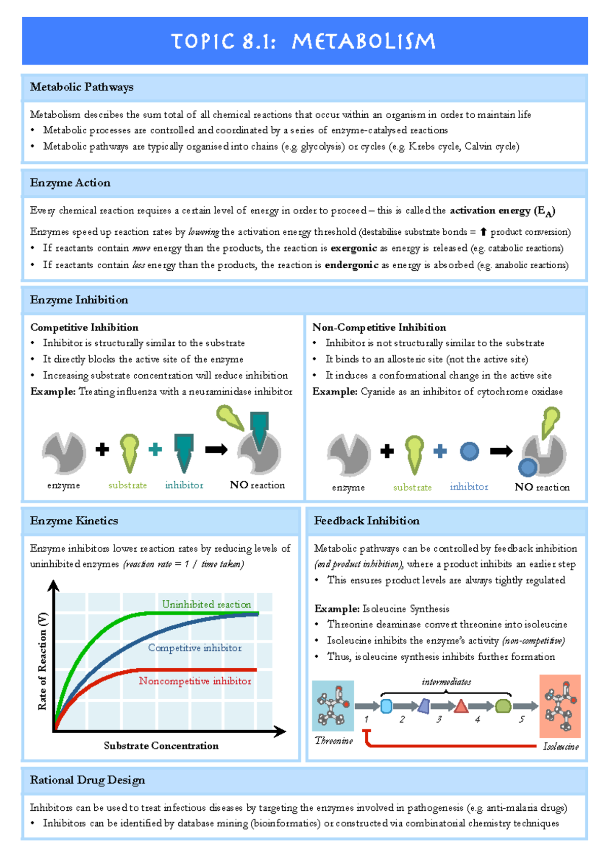 8.1 Metabolism - Notes - Topic 8: mETABOLISm Metabolic Pathways ...