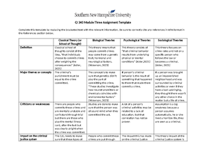 CJ 340 Project Two - Criminological Theory Applied Project Two Evelyn ...