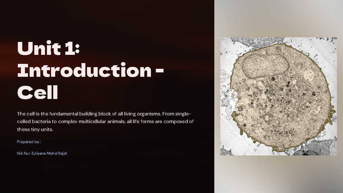 Unit 1 Introduction Cell - Unit 1: Introduction - Cell The cell is the ...