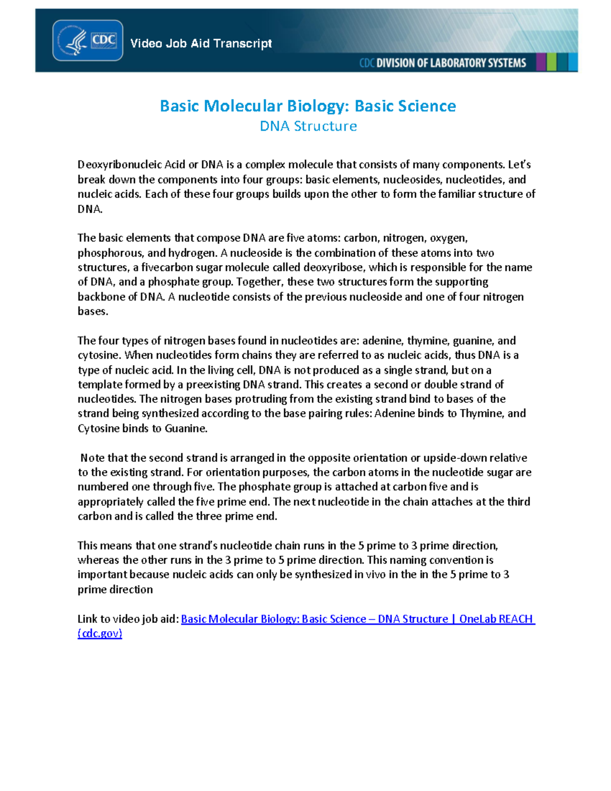 DNA Structure 508 - Video Job Aid Transcript Basic Molecular Biology ...