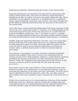 The Human Neocortex - A Unique and Complex Structure - The Human ...