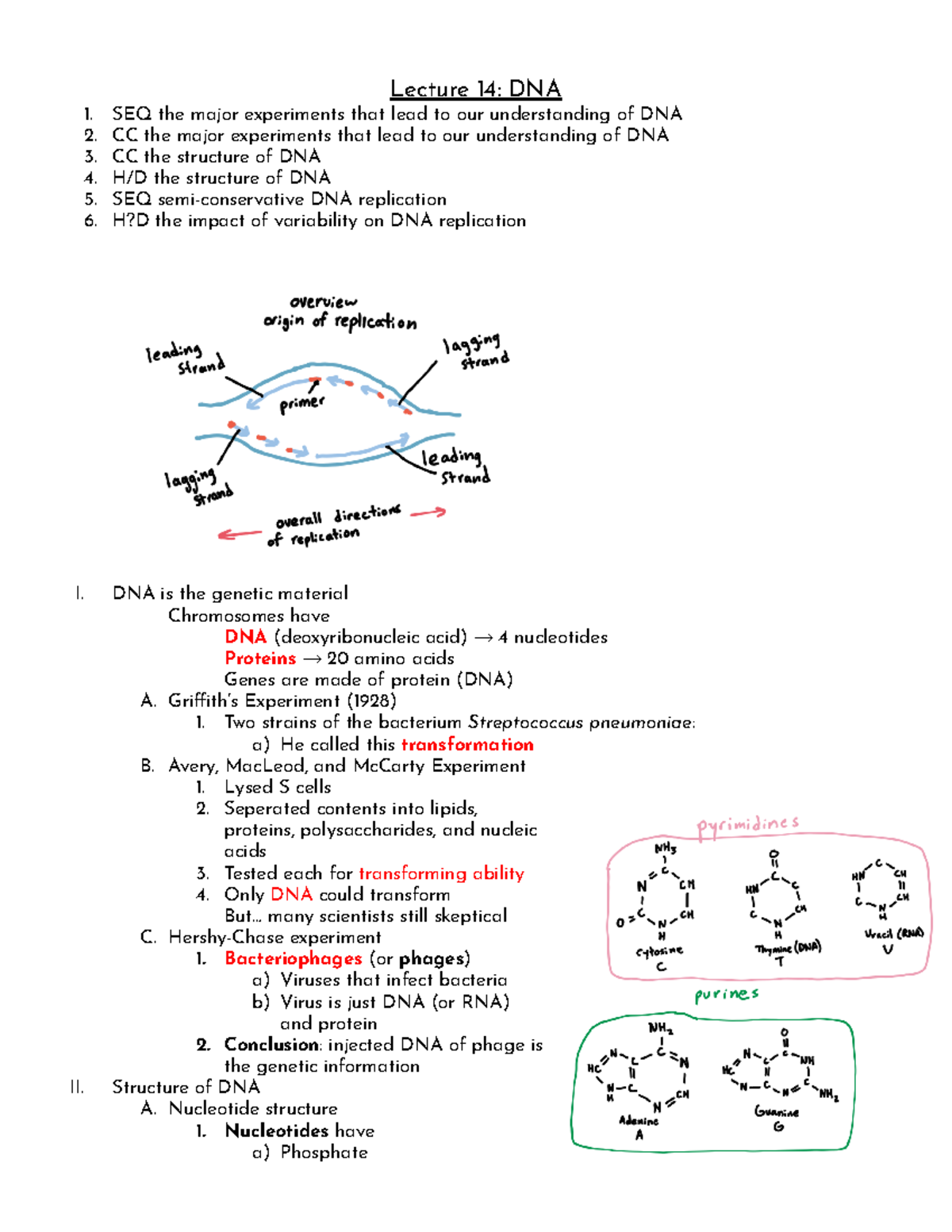 Biology Chapter 14 - DNA - Lecture 14: DNA SEQ the major experiments ...