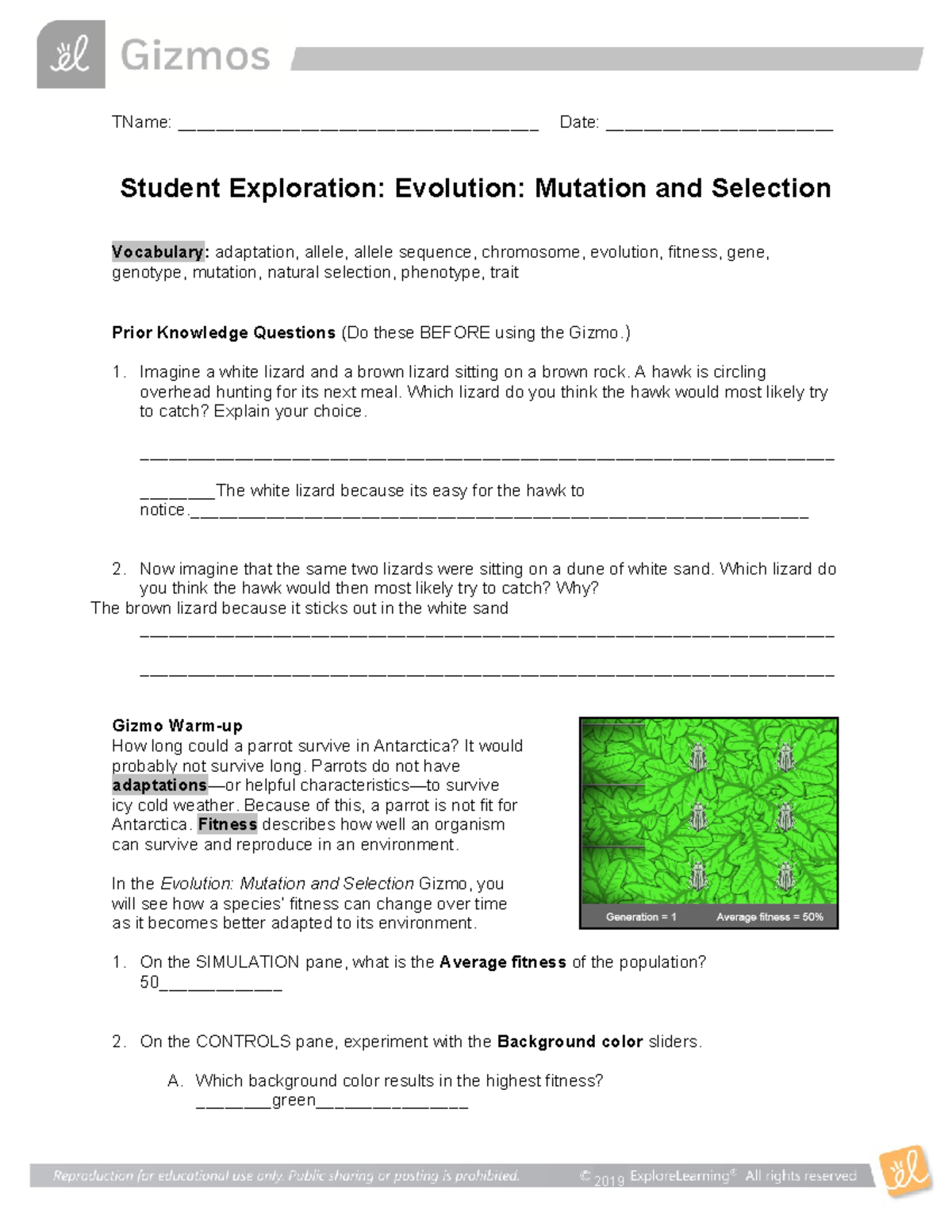 Evolution Mutation Selection SE - TName ...
