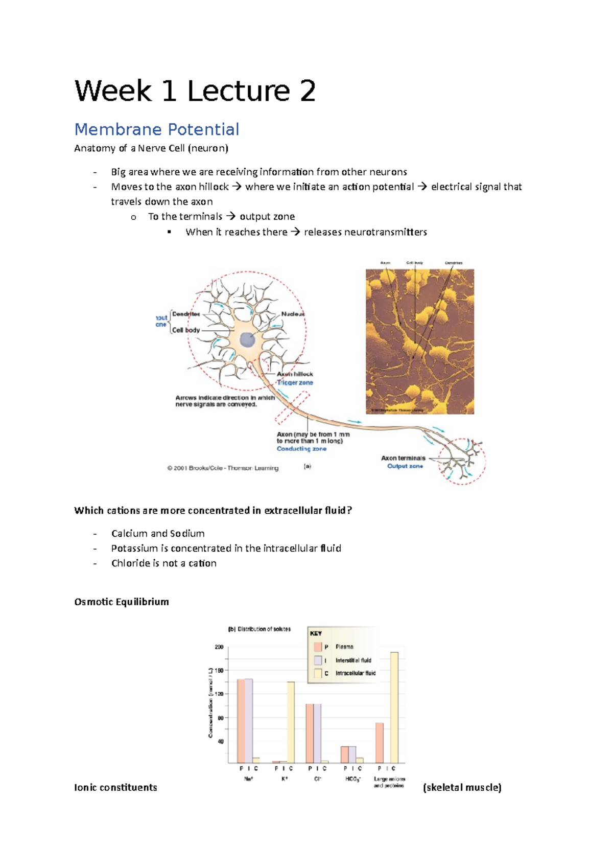 Week 1 Lecture 2 - Membrane Potential - Week 1 Lecture 2 Membrane ...