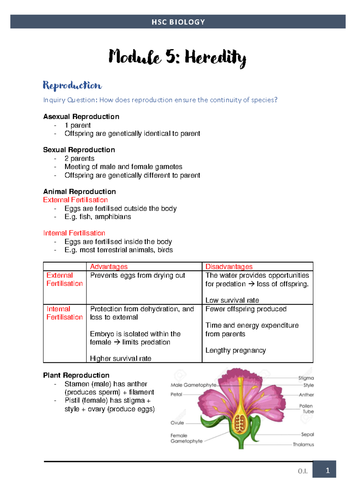 Mod 5 summaries - notes - Module 5: Heredity Reproduction Inquiry ...