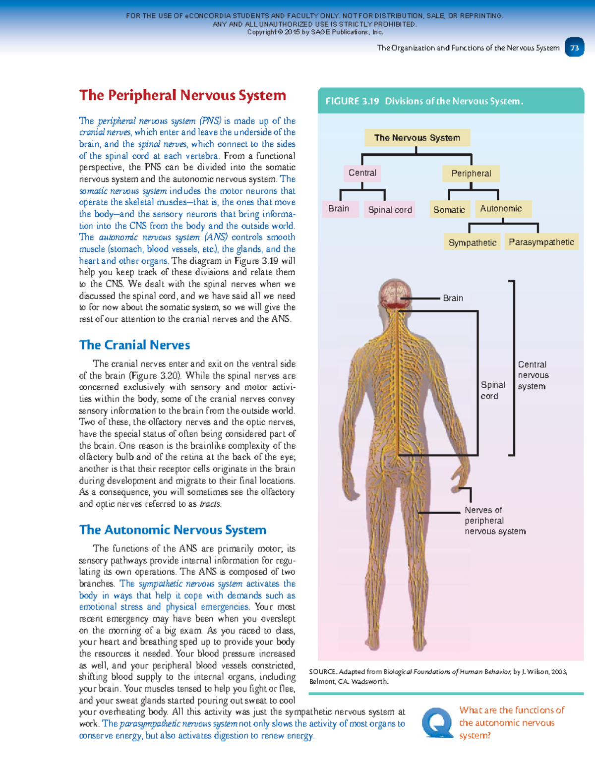 Unit 1 Lesson 3 - e Organization and Functions of the Nervous System 73 ...